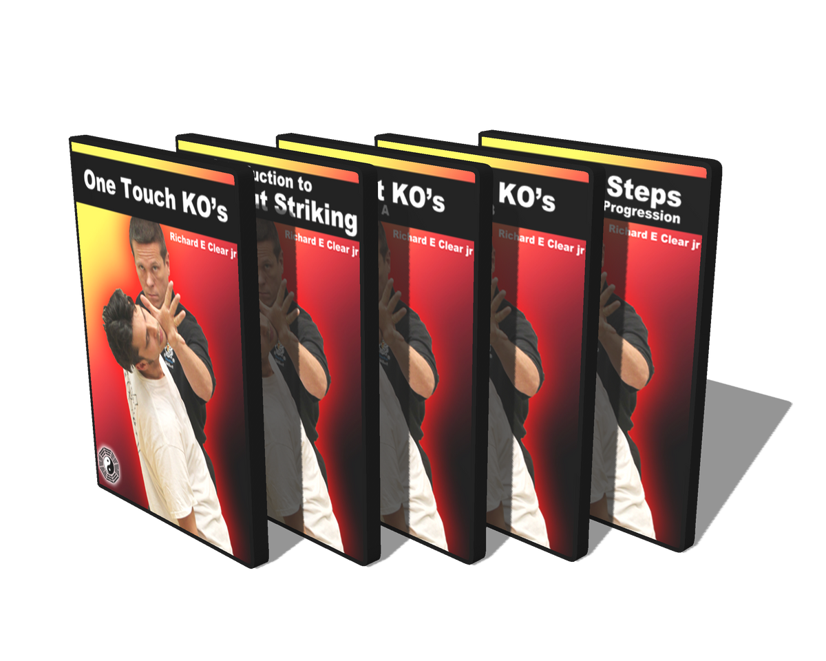 One Hit Knockout Power – Clear Martial Arts