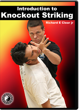 One Hit Knockout Power – Clear Martial Arts